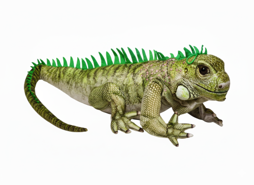 maskotka jaszczurka Legwan Iguana - długość 90cm ZABAWKOWNIA